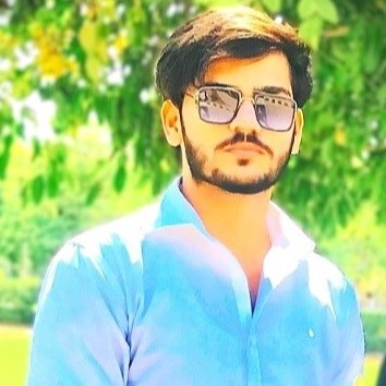 ali-awan profile picture